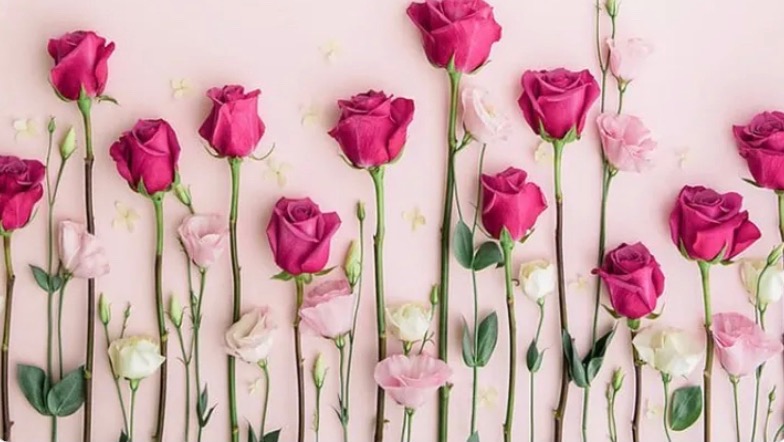 Fundraiser by Brenda Parrish : CHS class of 1987 Flower Fund