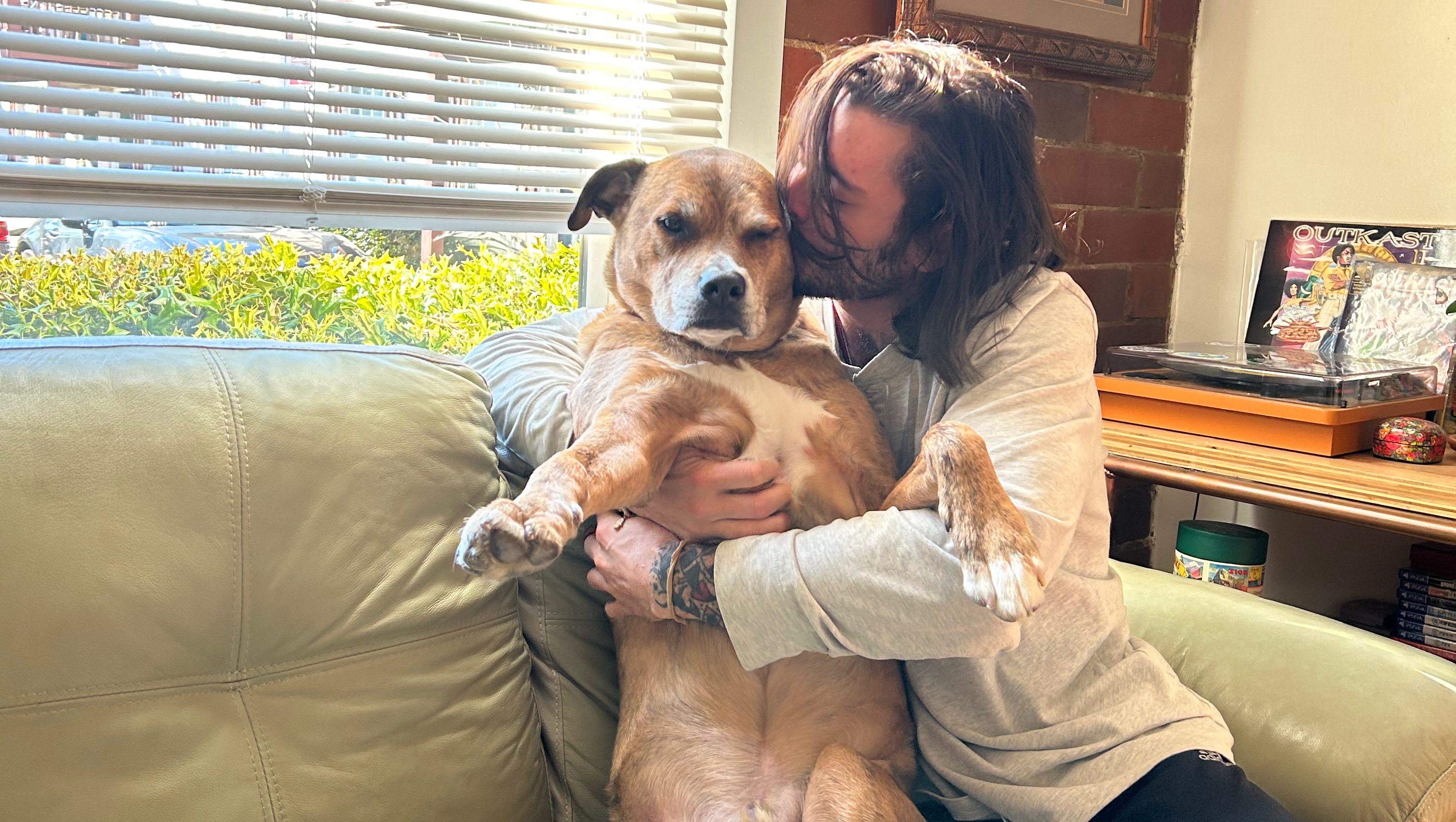 Fundraiser for brandon lurie by Rainey Horwitz : Simba’s emergency ...