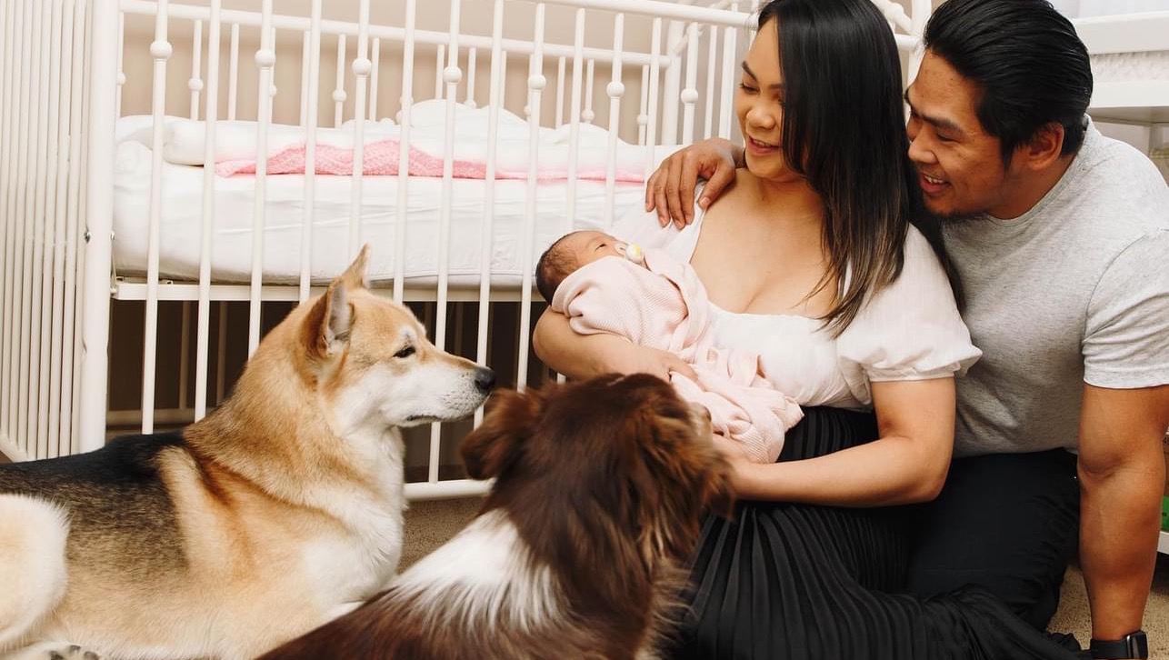 Fundraiser by Dexter Robillos : Gerberry Icban