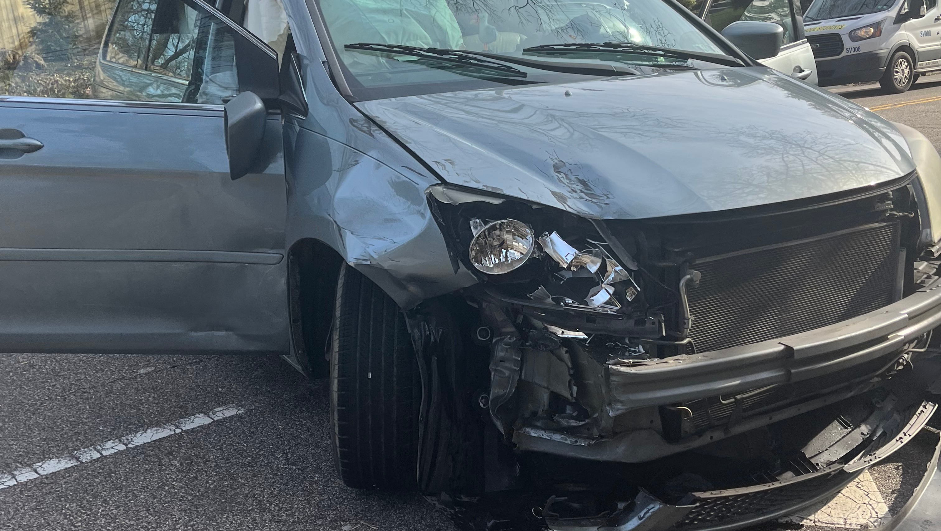 Fundraiser for Helene Riley by Rose Tomassi : Help the Alapinis get a car!