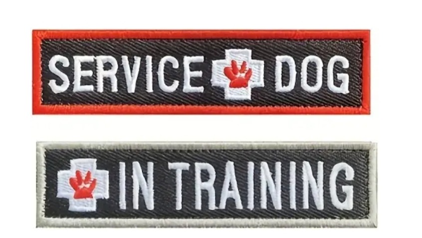 Fundraiser by Lisa St Germain : Medical Alert Service Dog