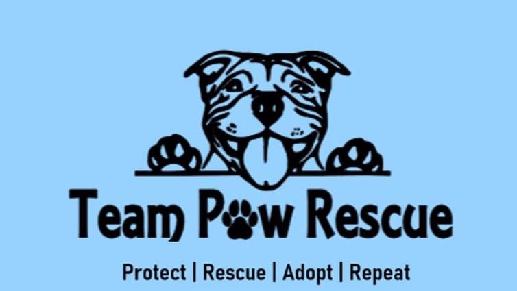 Fundraiser by Team-Paw Rescue : Team-Paw Rescue