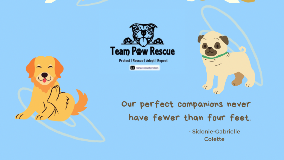 Fundraiser by Team-Paw Rescue : Team-Paw Rescue