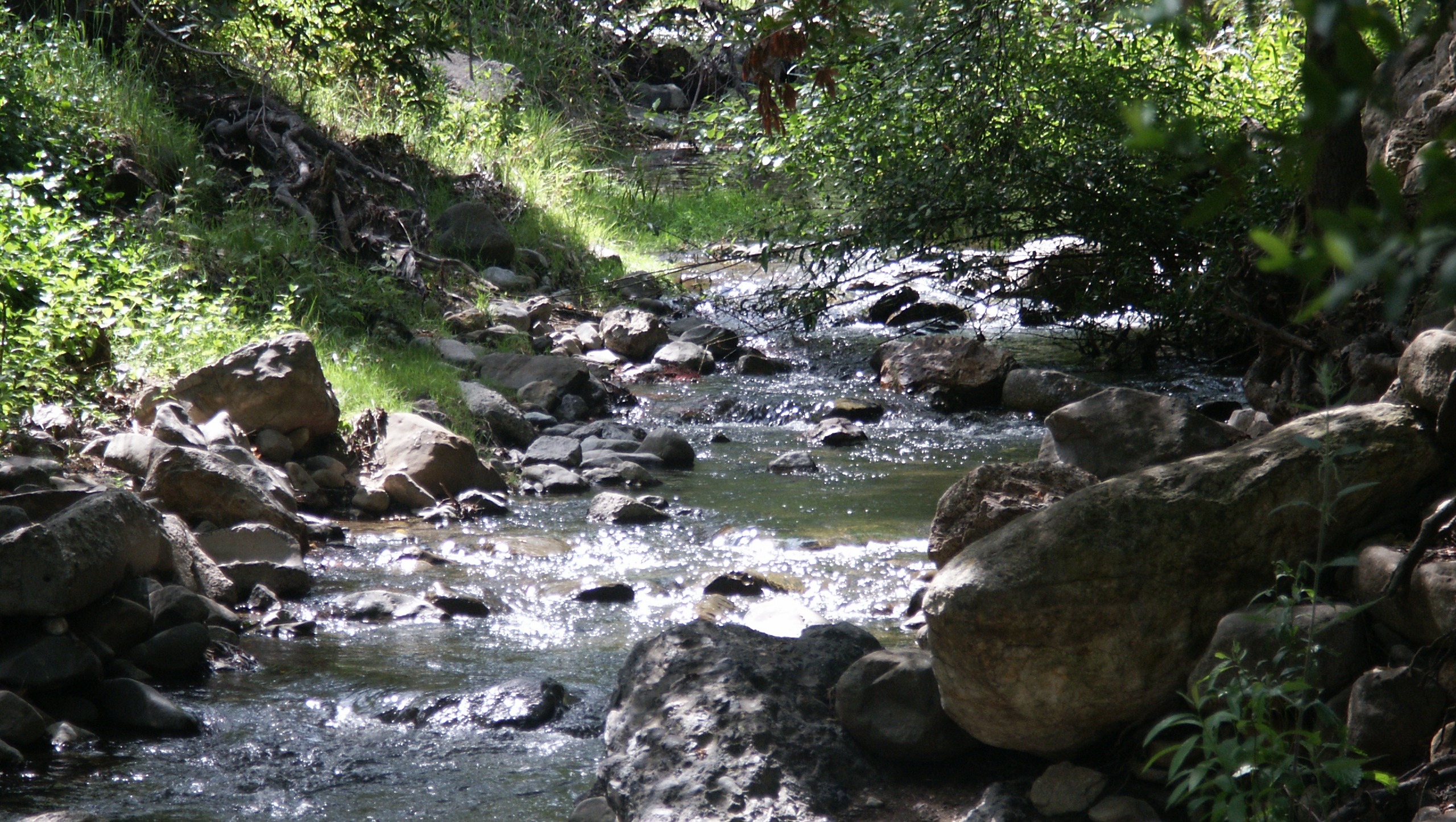 Fundraiser by Hewitt Creek : Hewitt Creek Protection