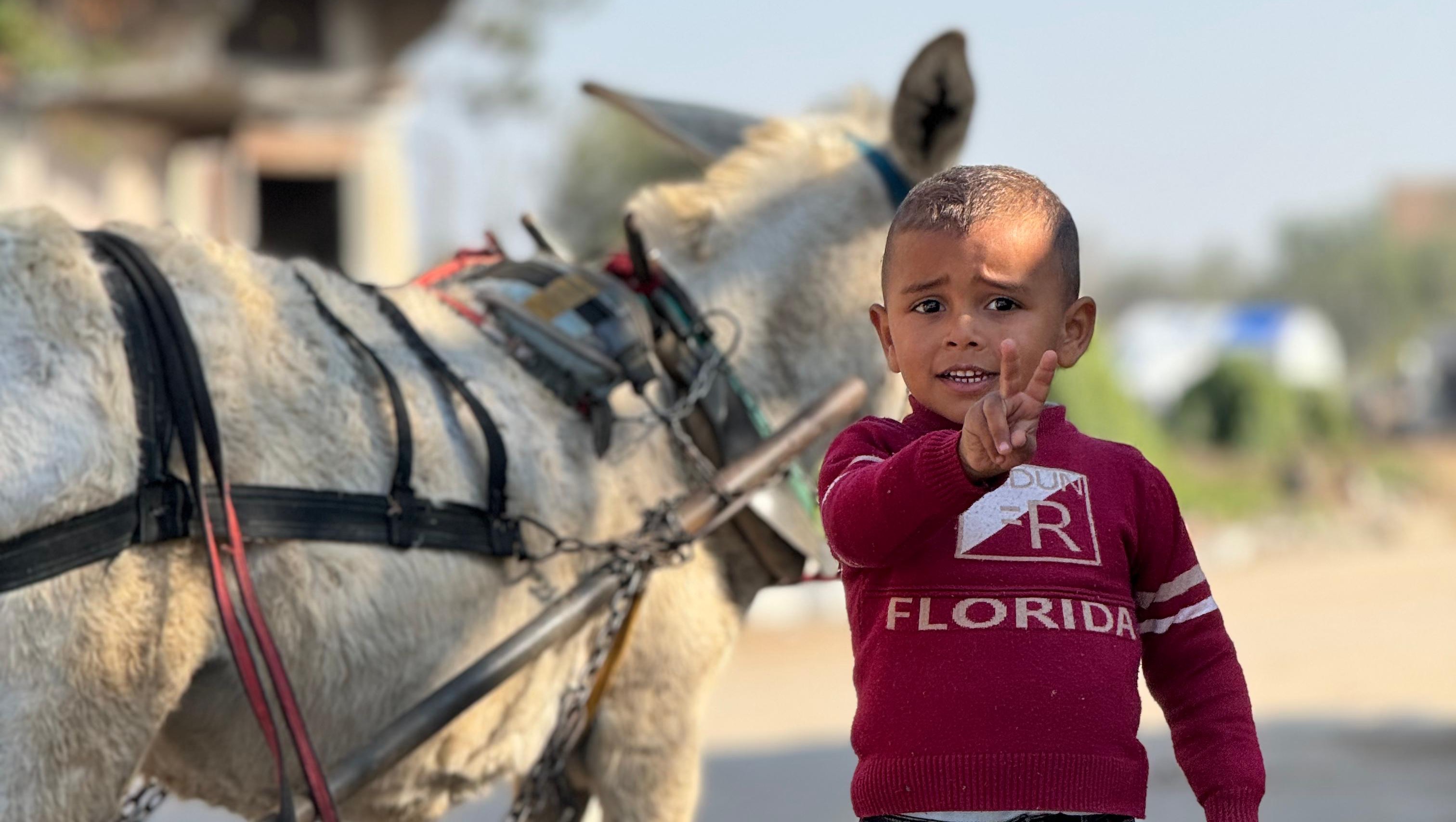 Fundraiser by Marwa Mohamed : Please support the El-Shami Family