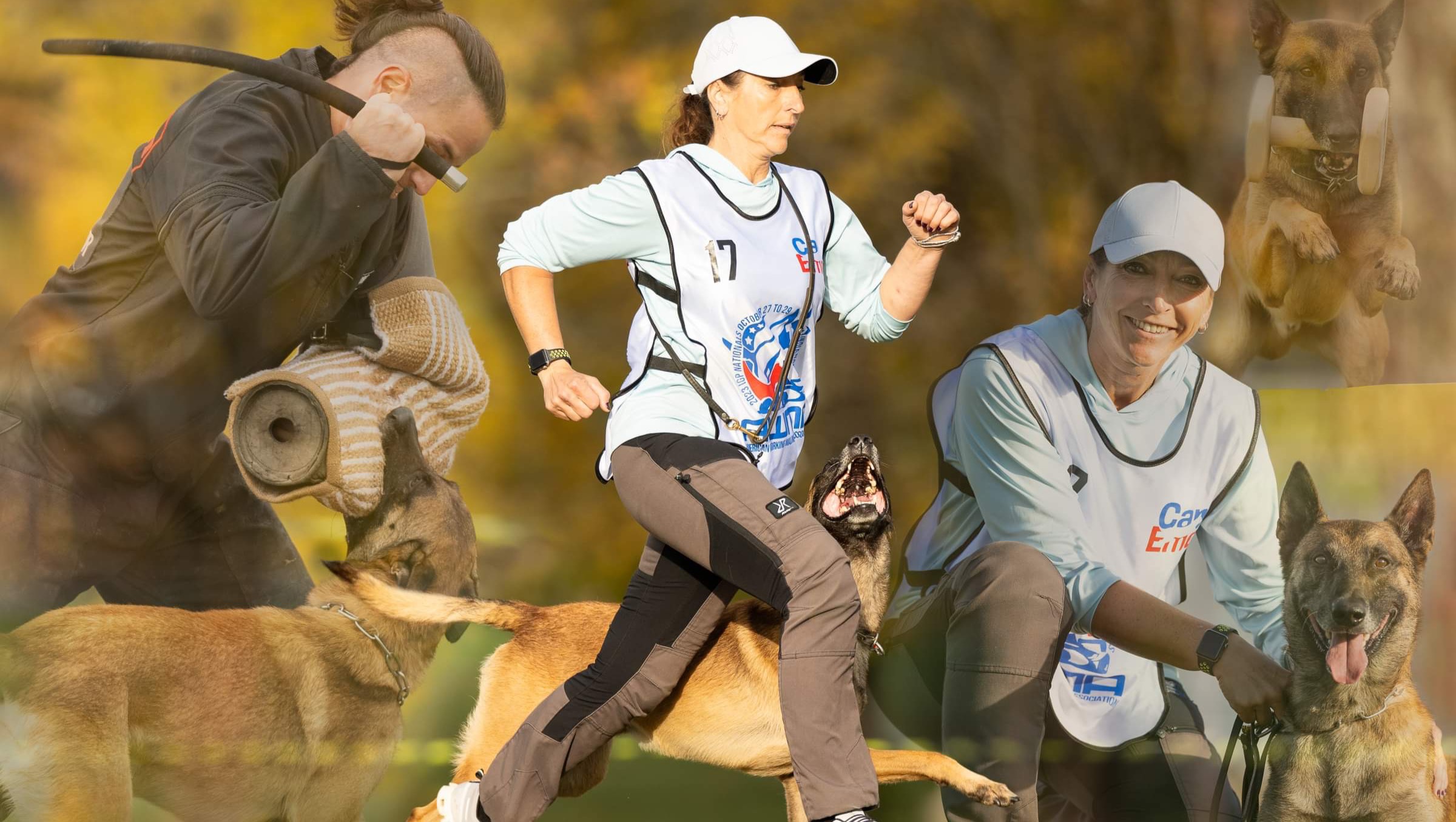 Fundraiser by Team Python - Hop Hop K9 : Team Python FMBB 2024 Italy ...