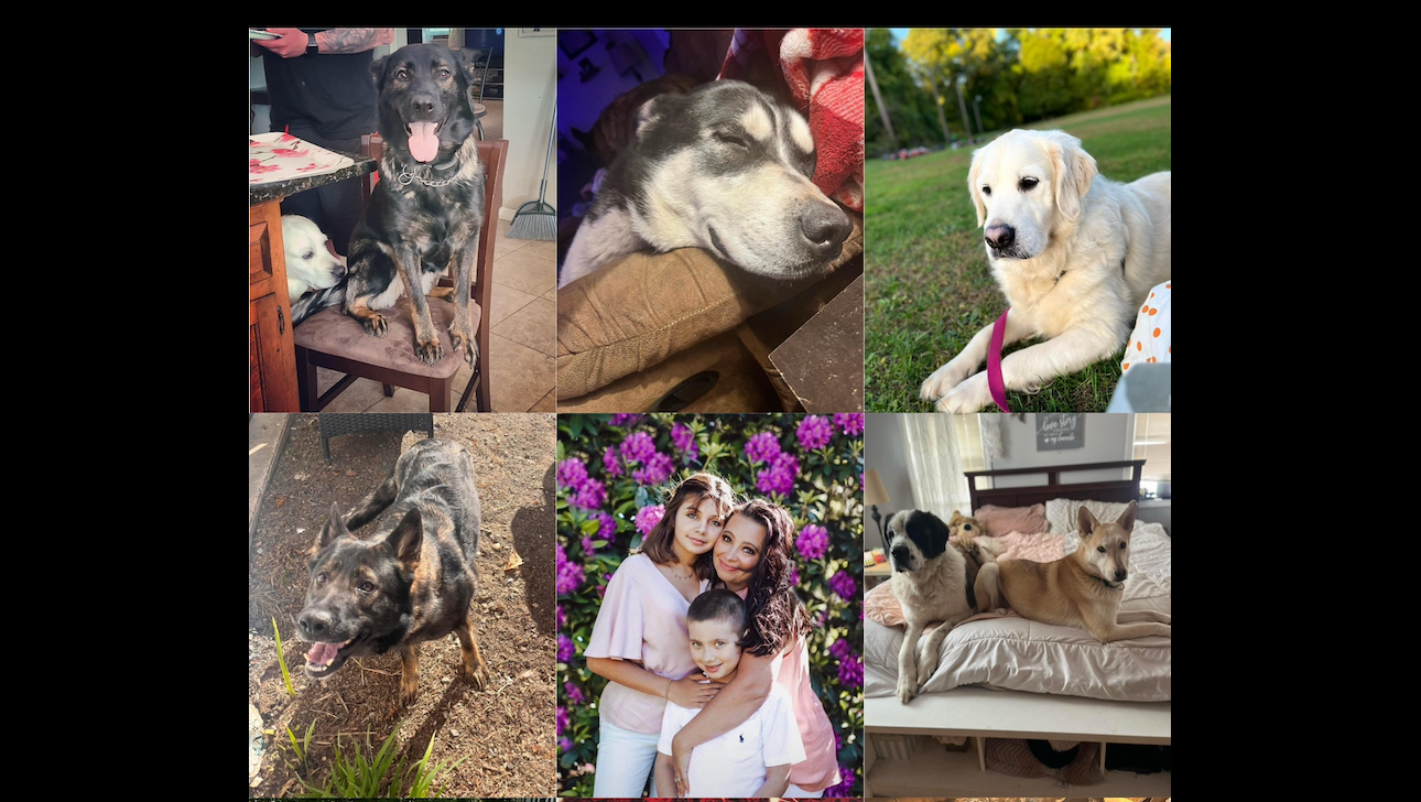 Fundraiser for Christine Markey by Tiffany Sharp : Markey Family ...