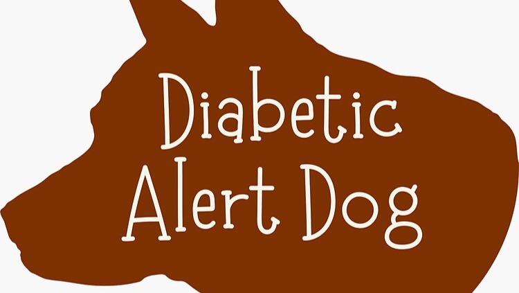 Fundraiser by Archie Pemberton : Fund raising for Diabetic Alert Dog (DAD)