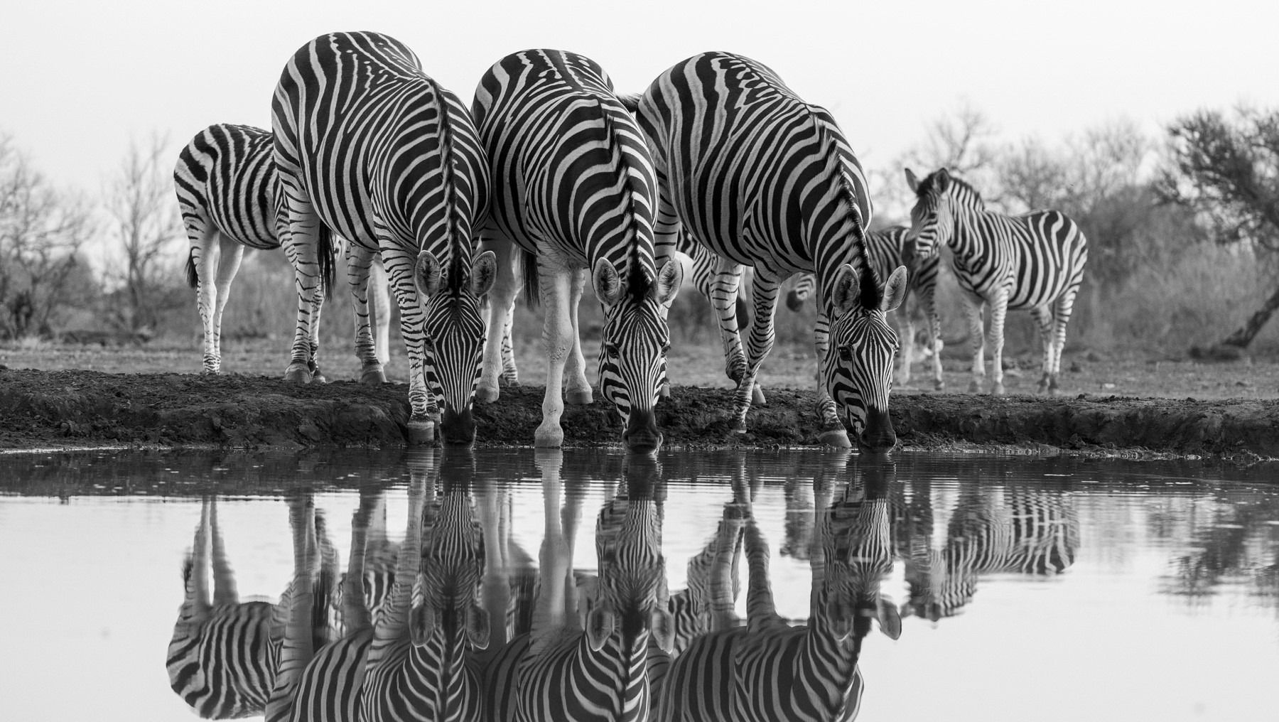 Fundraiser by Lisa Roderick : Land of the Giants Cycle Trip Fundraiser