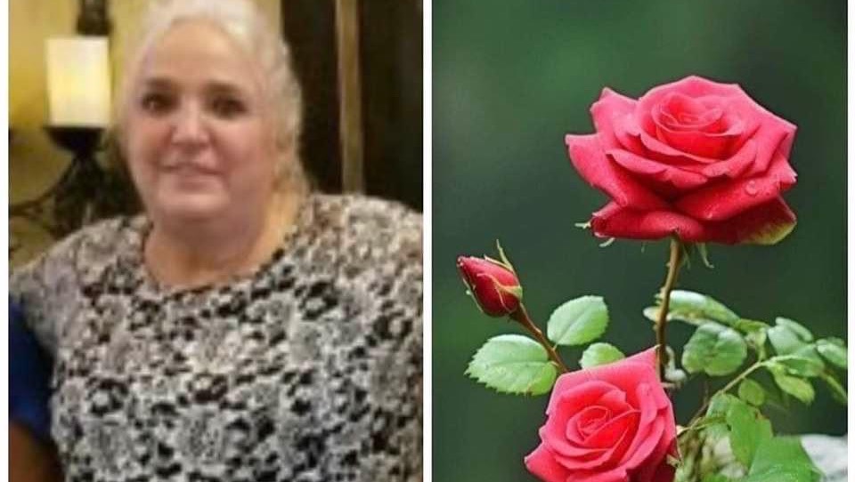 Fundraiser by Stephanie Williamson : Amy Stone