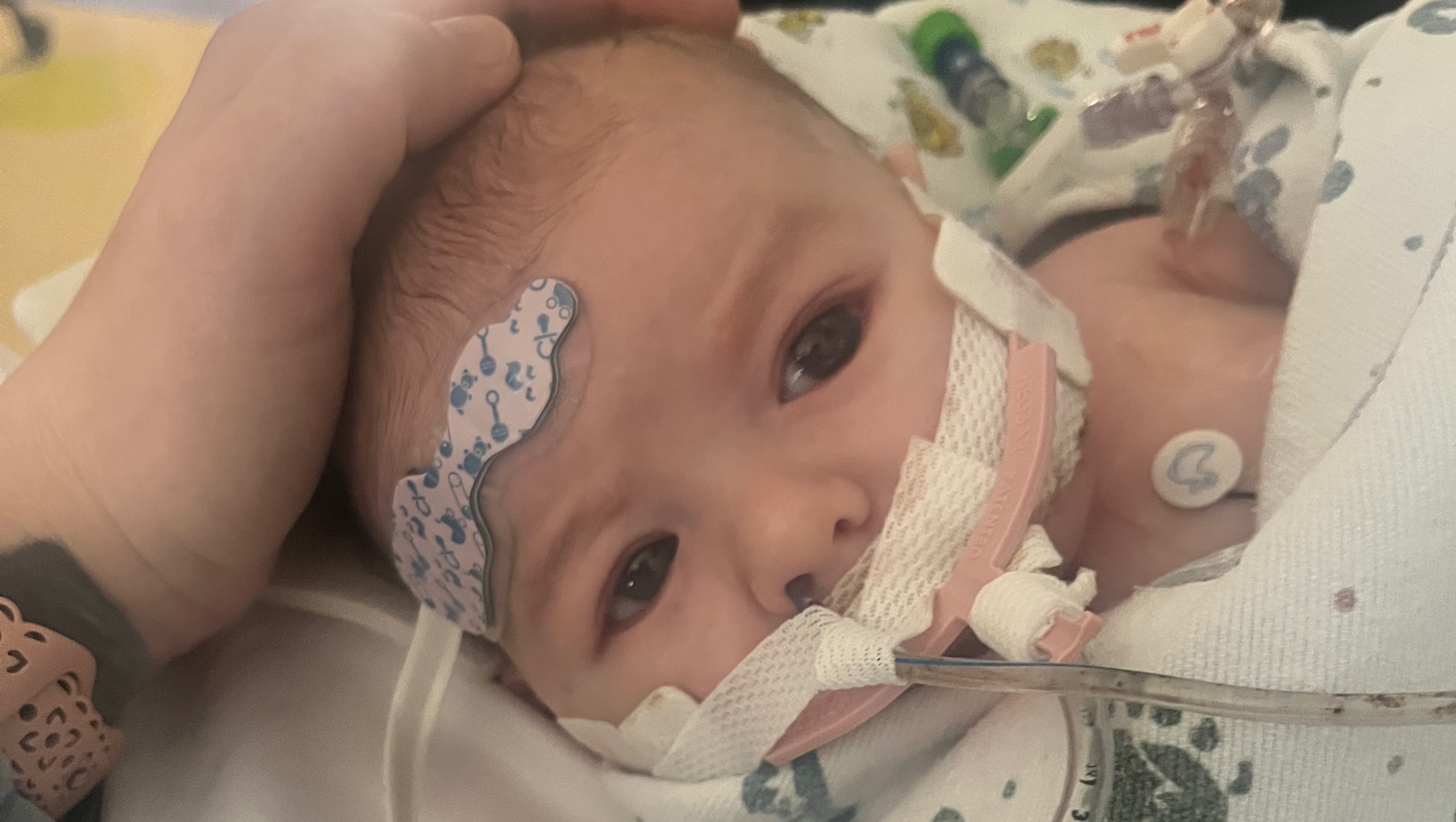 Fundraiser by Brittany Conte : Please help Chase and our family