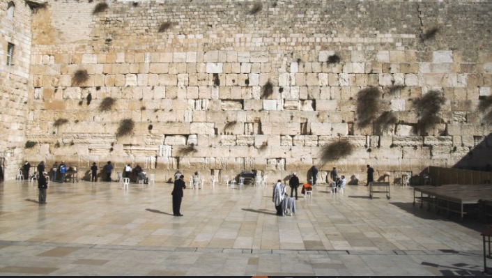 Fundraiser by Rut Cohen : Help a girl go to seminary in ארץ ישראל