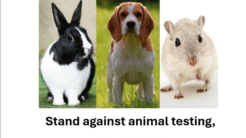 Fundraiser by Jamie Cooke : Stand against animal testing and ban it for ...