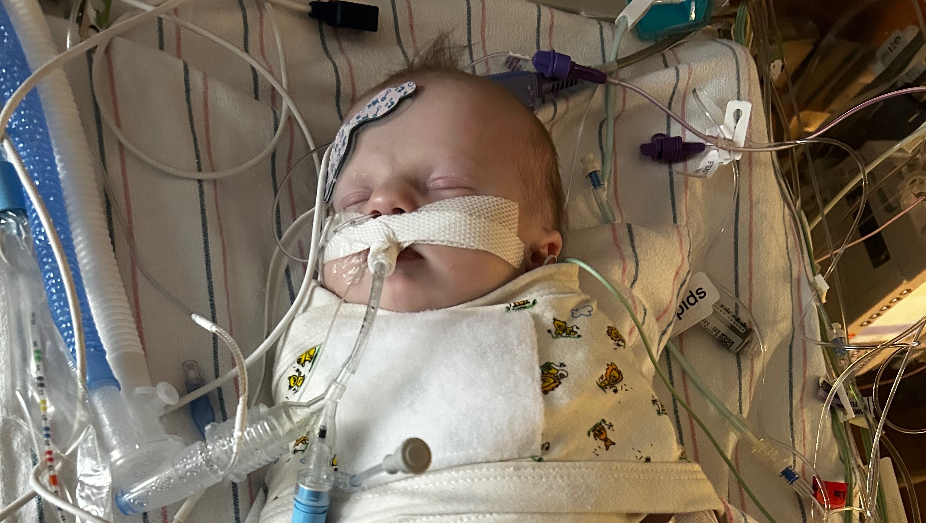 Fundraiser for Kori Williams by Kelli Skinner : Piper Mae Williams