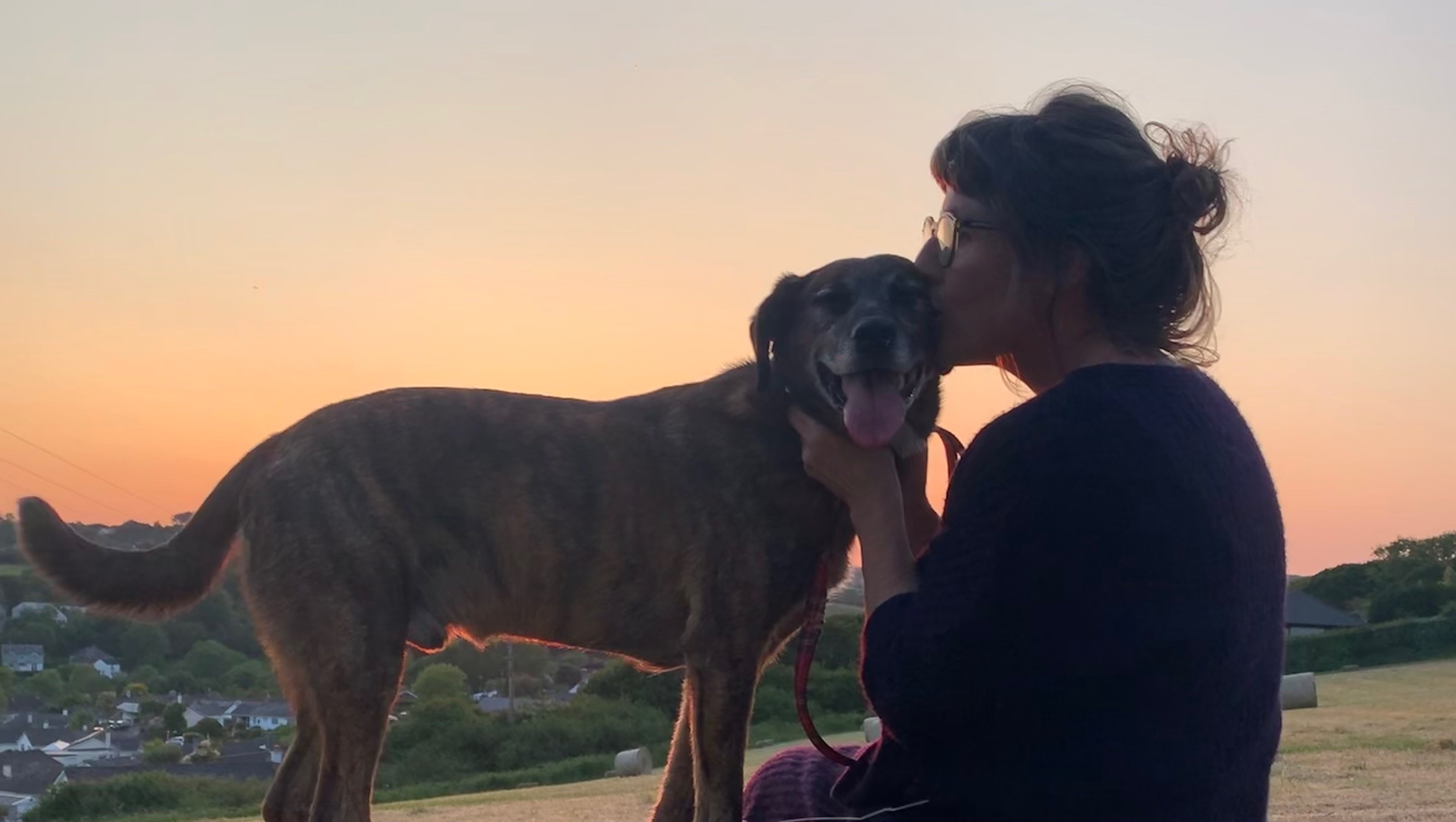 Fundraiser by Ashling Williams : Support Clare's healing ♥