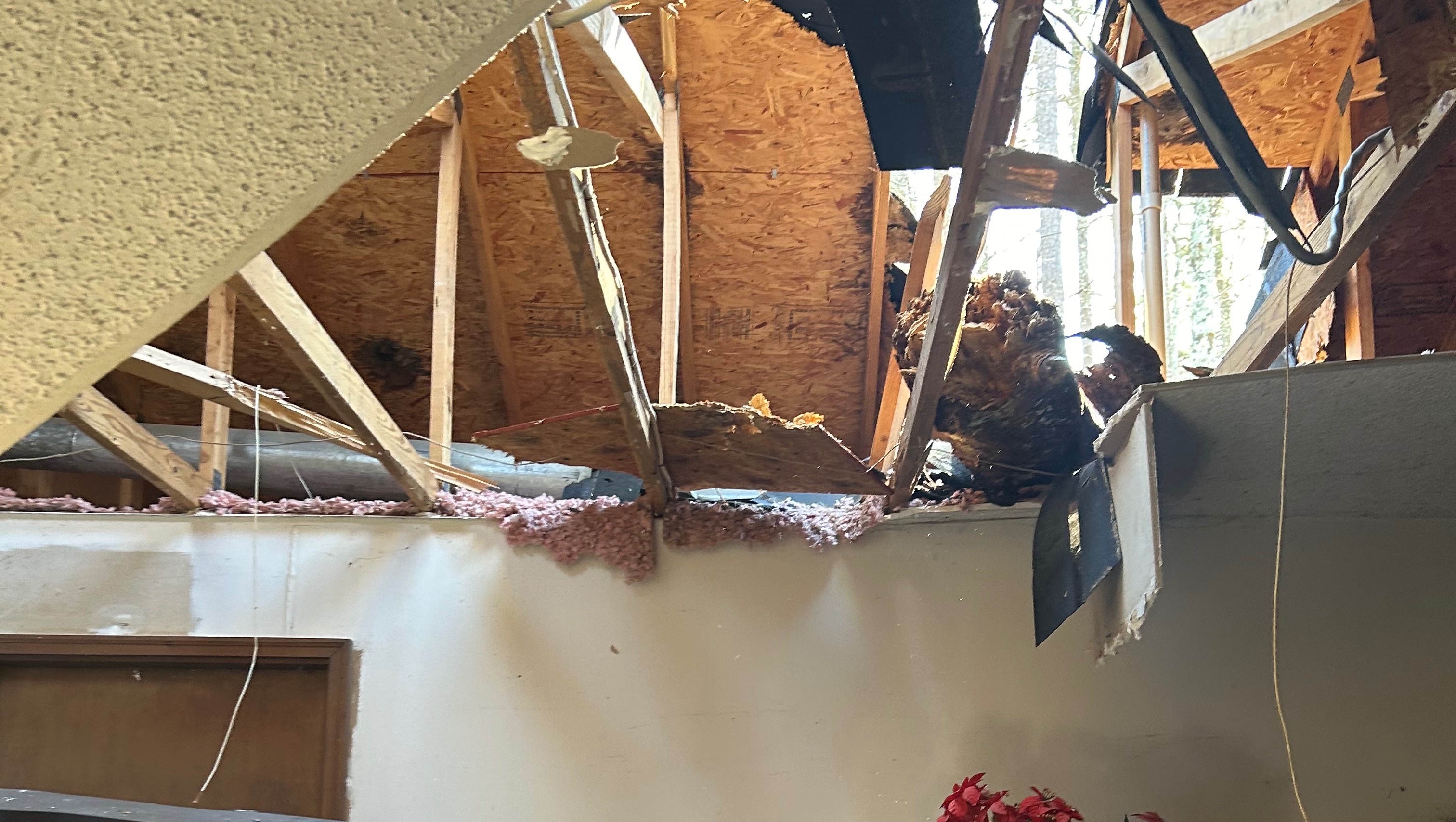 Fundraiser by Dreka Anderson : Natural disaster