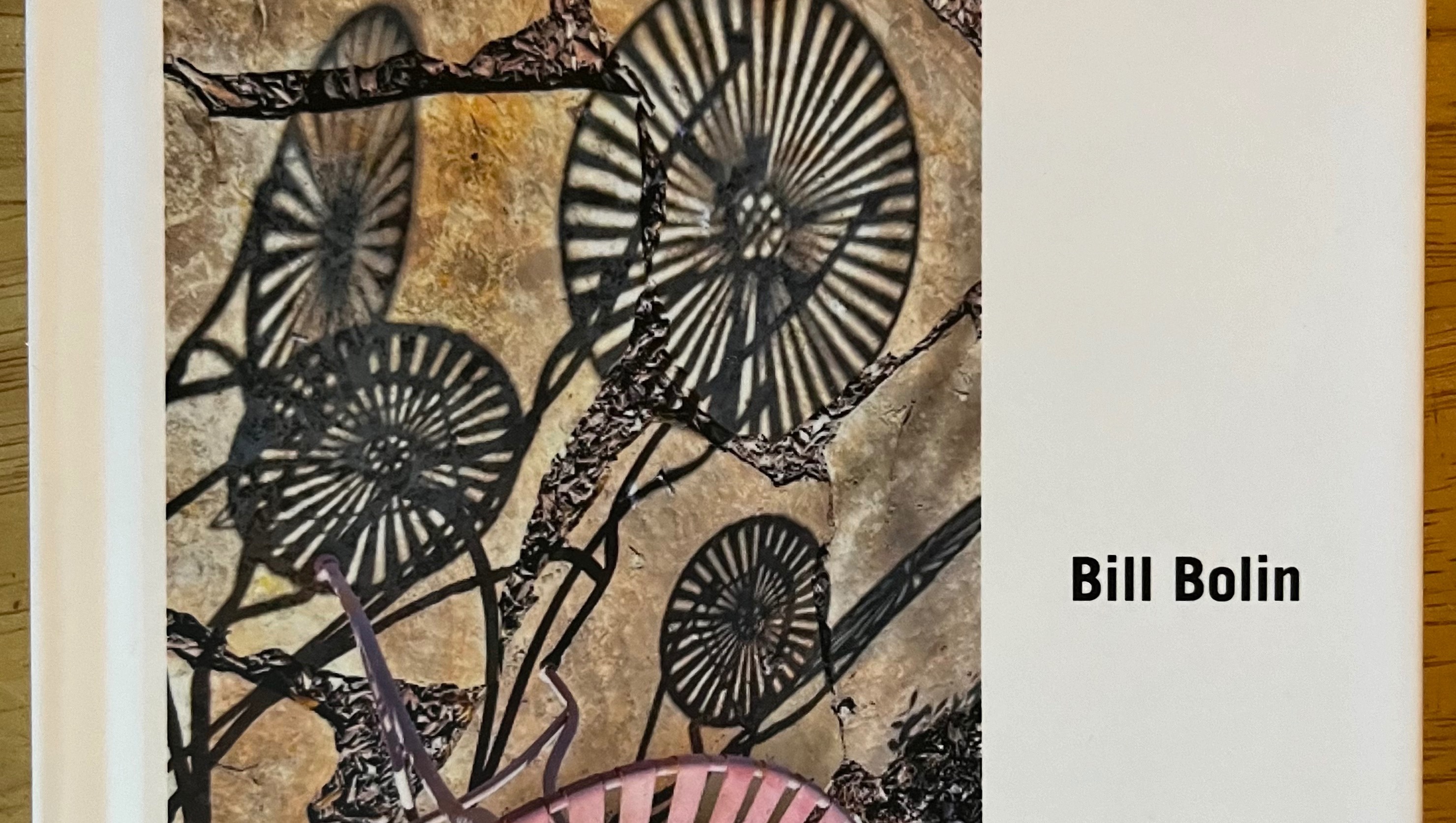 Fundraiser by Bill Bolin : The Bolin Self-Publishing Fund