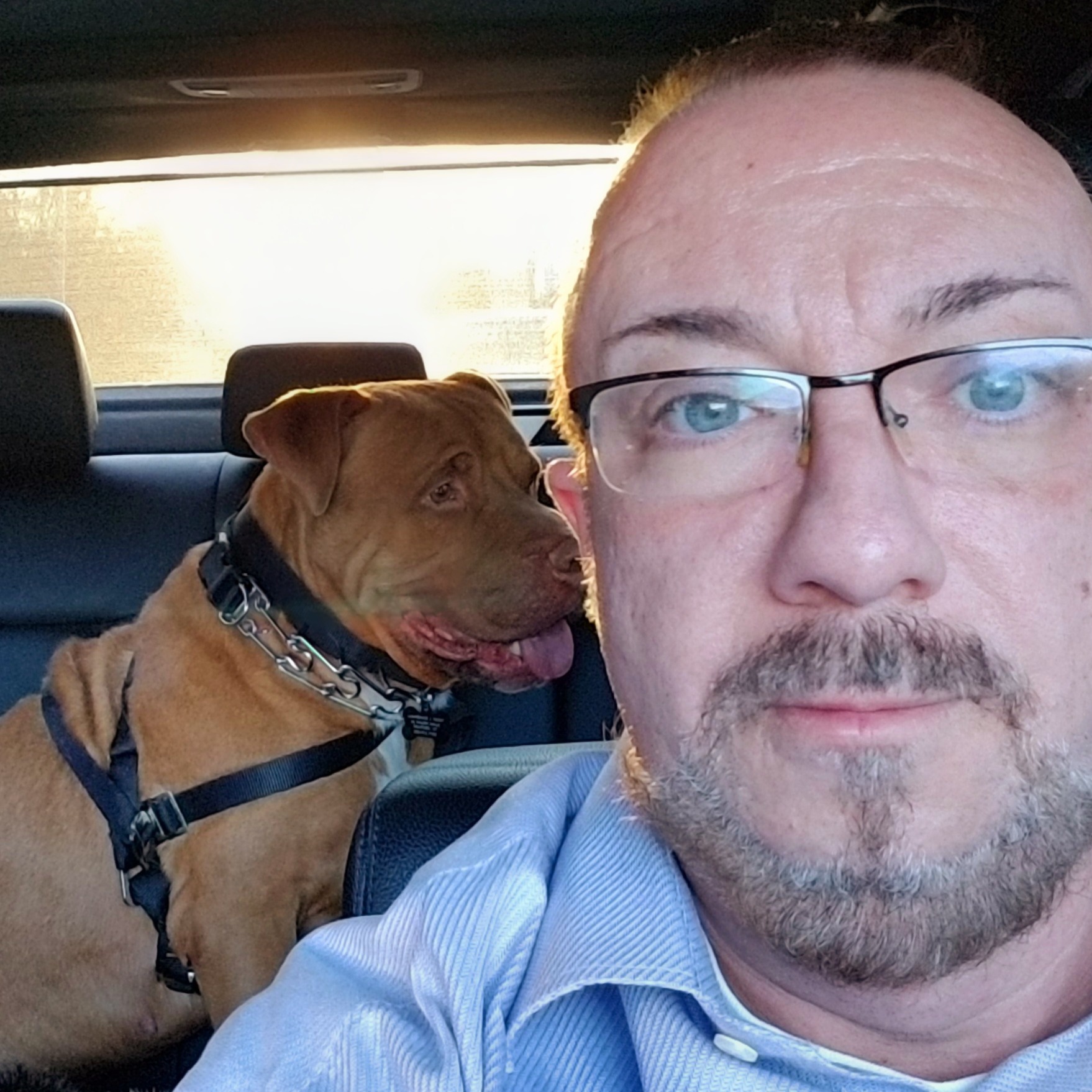 Fundraiser by Lawrence Root : Oberon's Road2Recovery, F ck Cancer