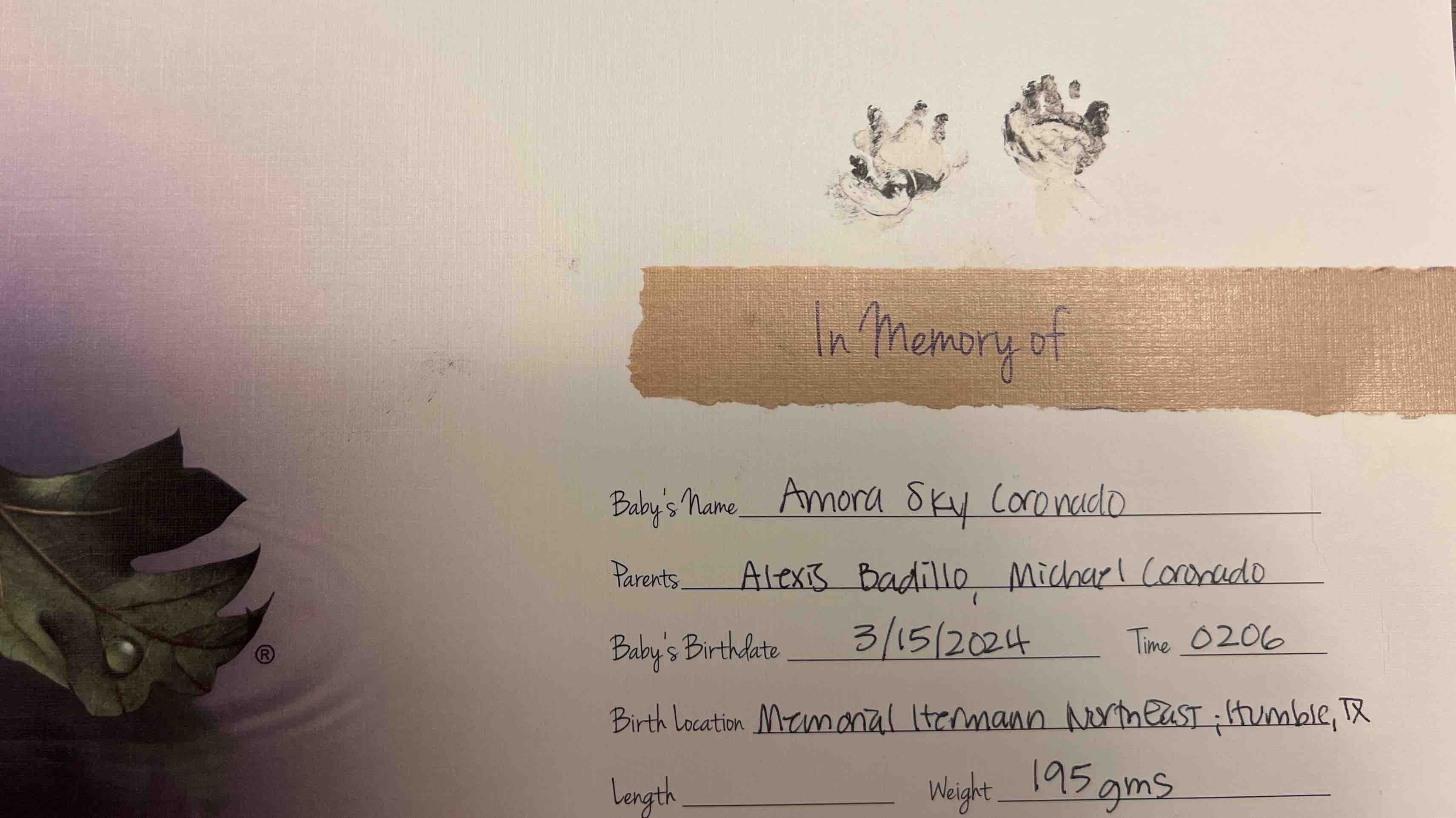 Fundraiser by Michael Coronado : Help our family lay our daughter to rest