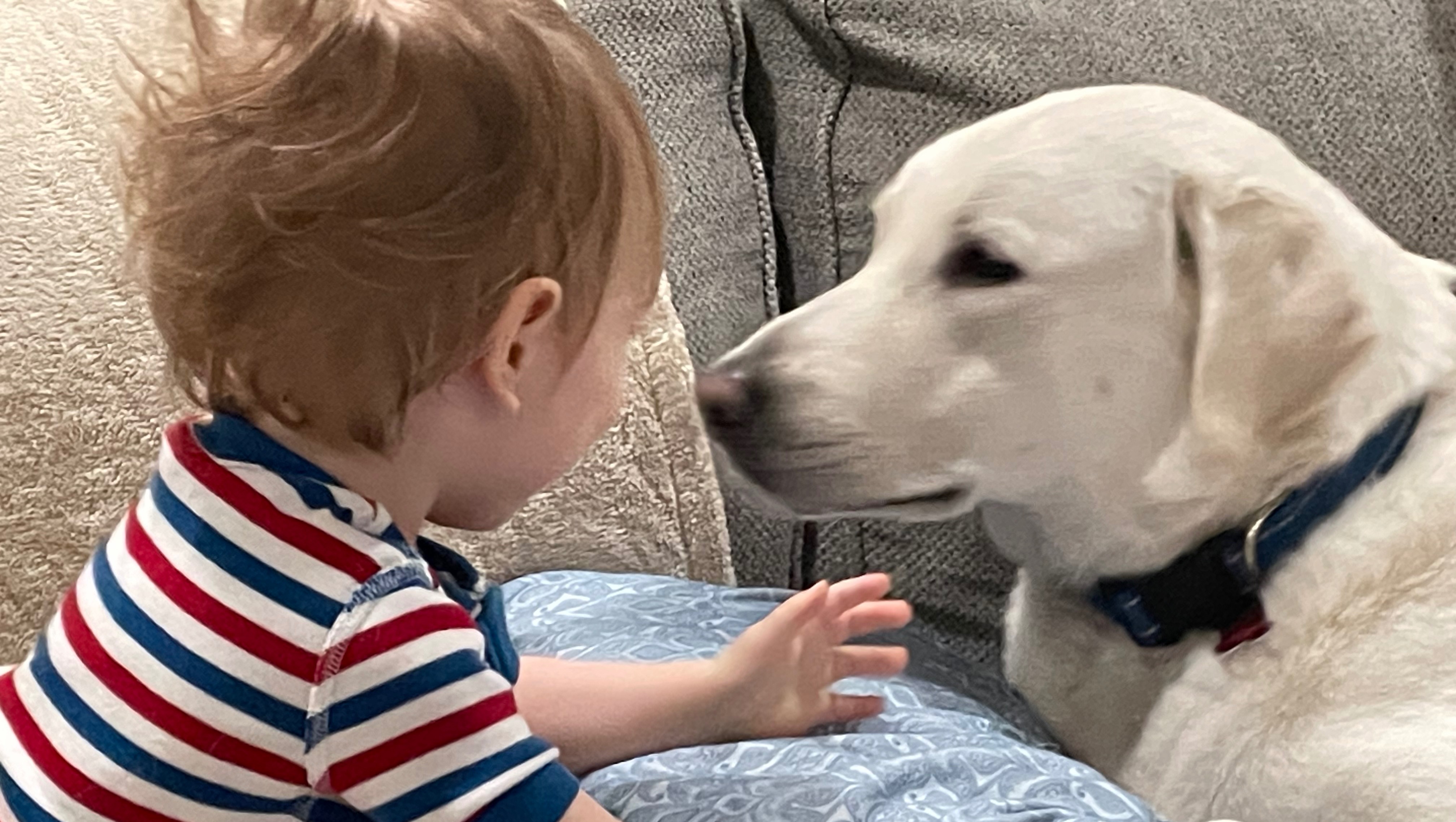 Fundraiser for Stephanie Candini by Emily Candini : Save Bianca's Leg ...