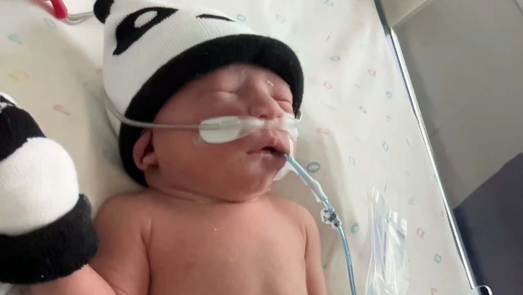 Fundraiser by Jeanie Collins : Help Baby Alistair