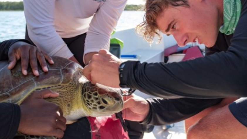 Fundraiser for Mark Winston Griffith by Ayodele Joa-Griffith : Send me ...