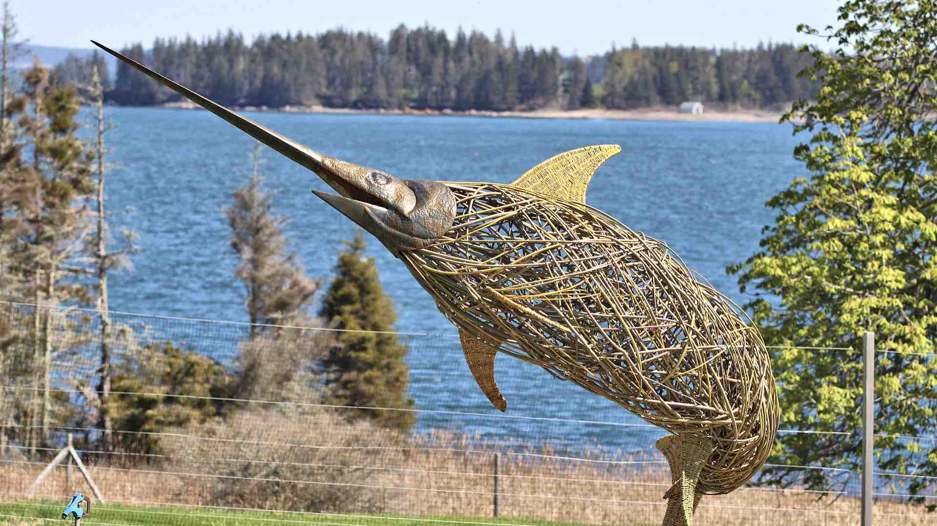 Fundraiser by Billy Sims : North Haven Island Swordfish Sculpture