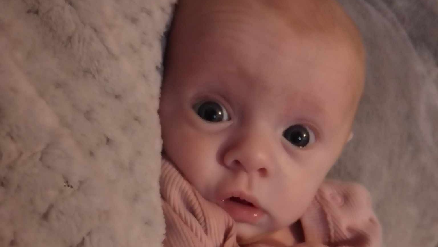 Fundraiser for Cheryl Conaghan by Nicole Ahern : Cassie Ann Emmaline ...