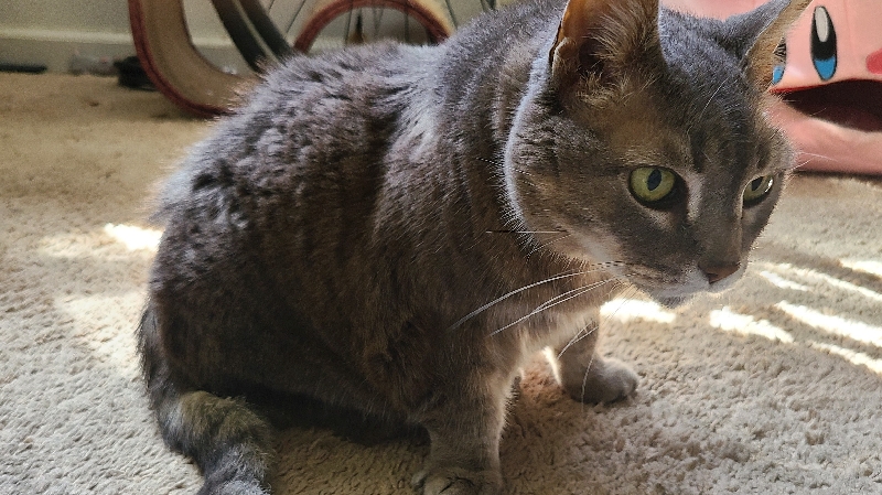 Fundraiser by Billie Taylor : Marissa needs specialty care