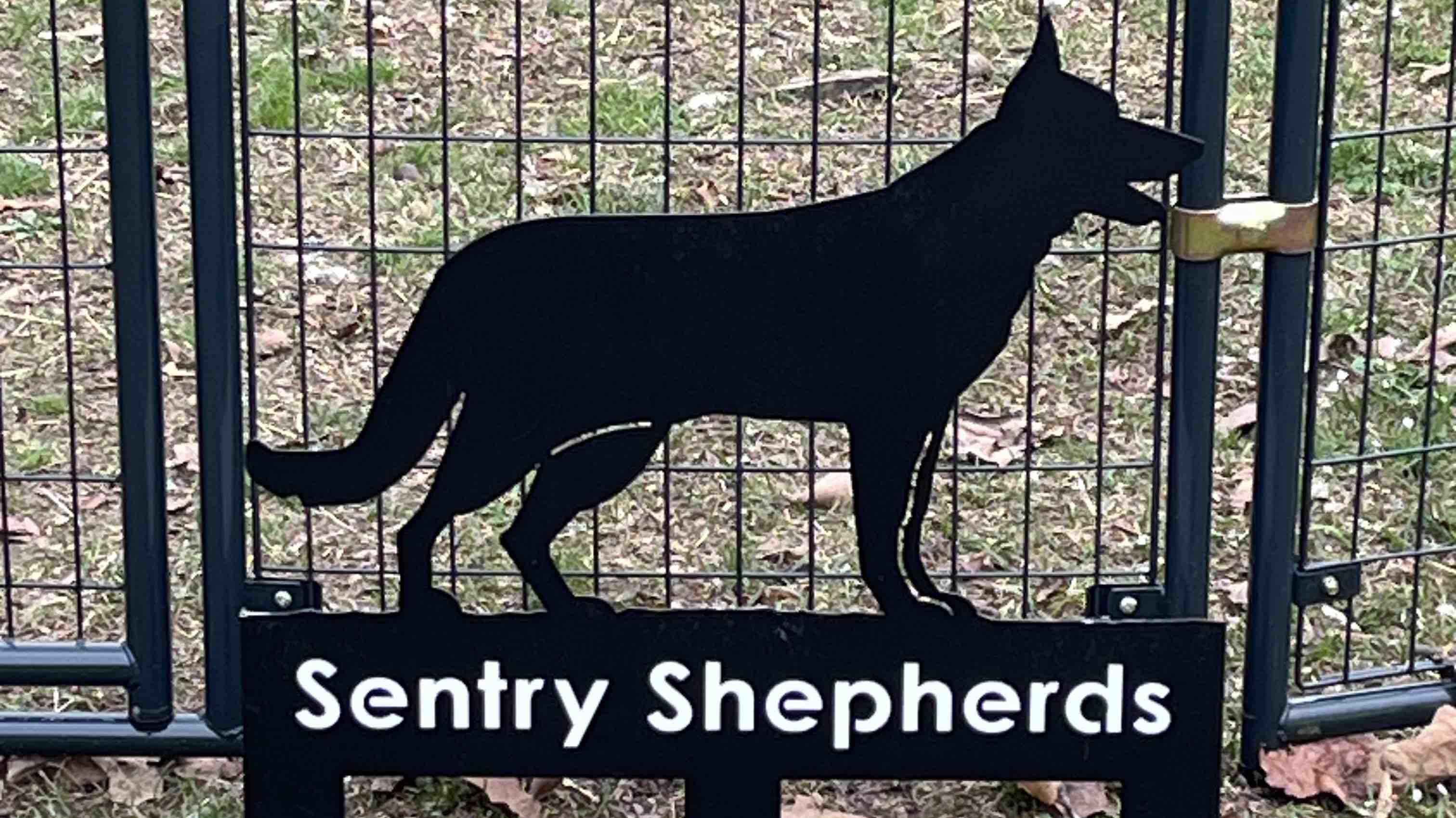 Fundraiser by John Thompson : German Shepherd Rescue Support