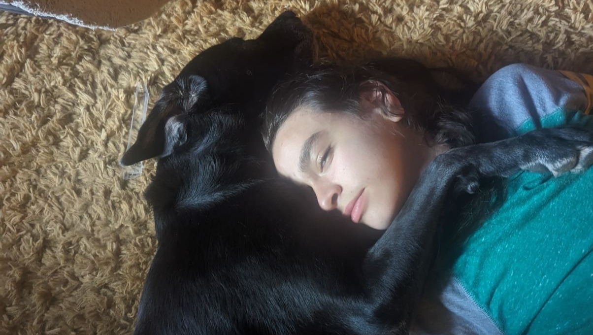 Fundraiser by Lisa Lee : Please help Ralfie