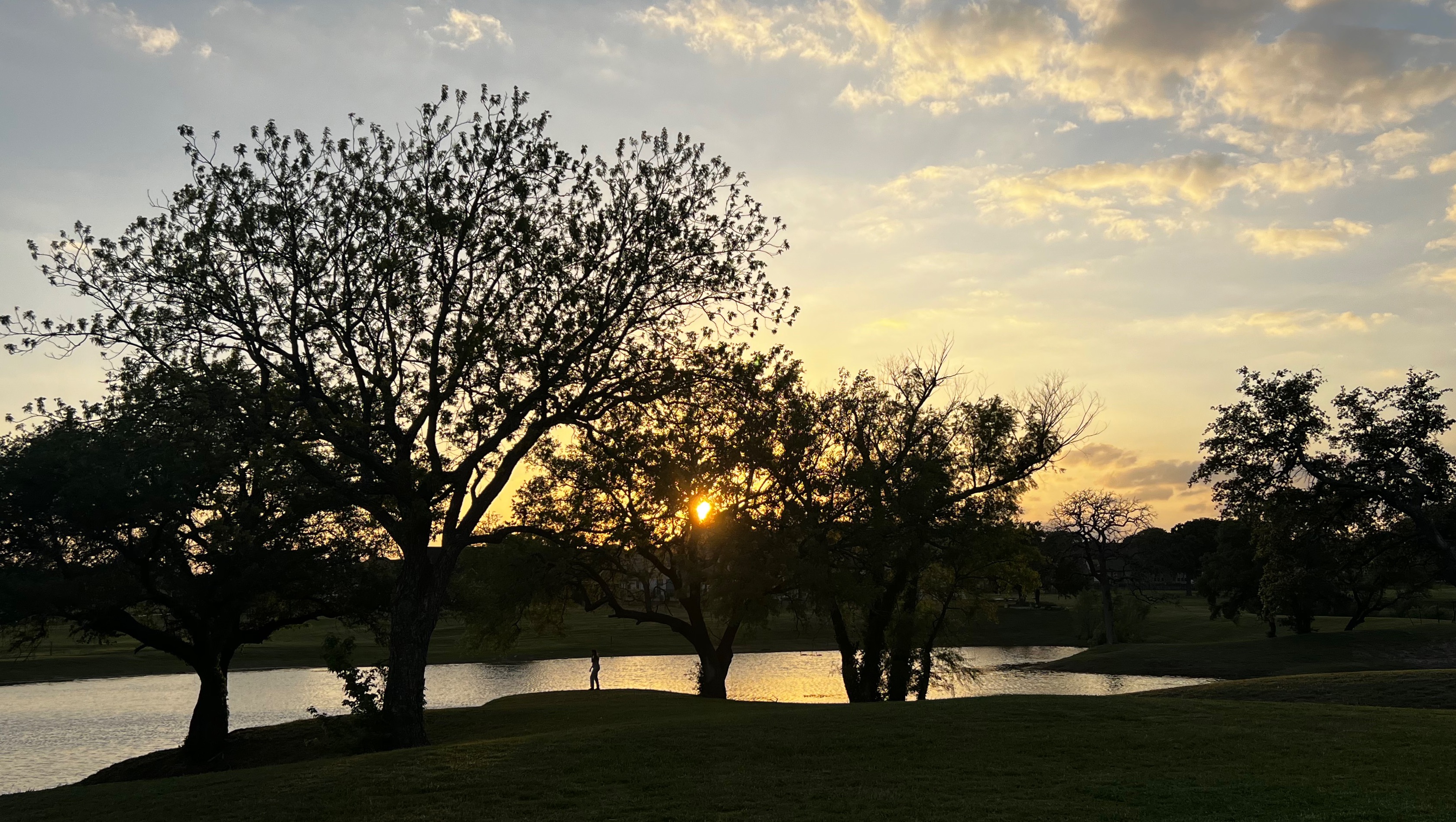 Fundraiser by Brittany Fine : Honoring Molly - Her Sunset Bench