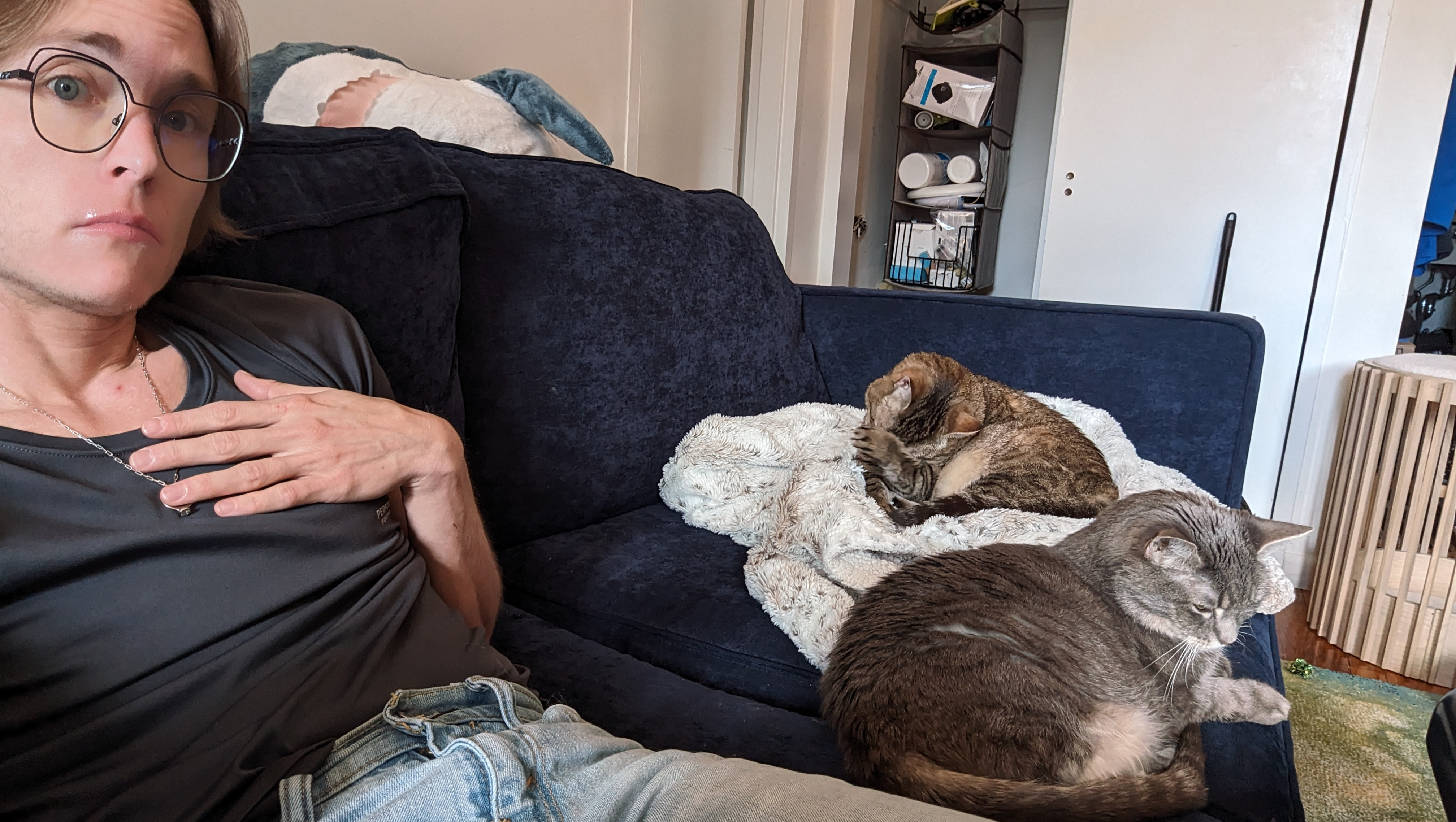 Fundraiser by Ray Johns : Help Ray, Diva, and Dweezil with medical costs