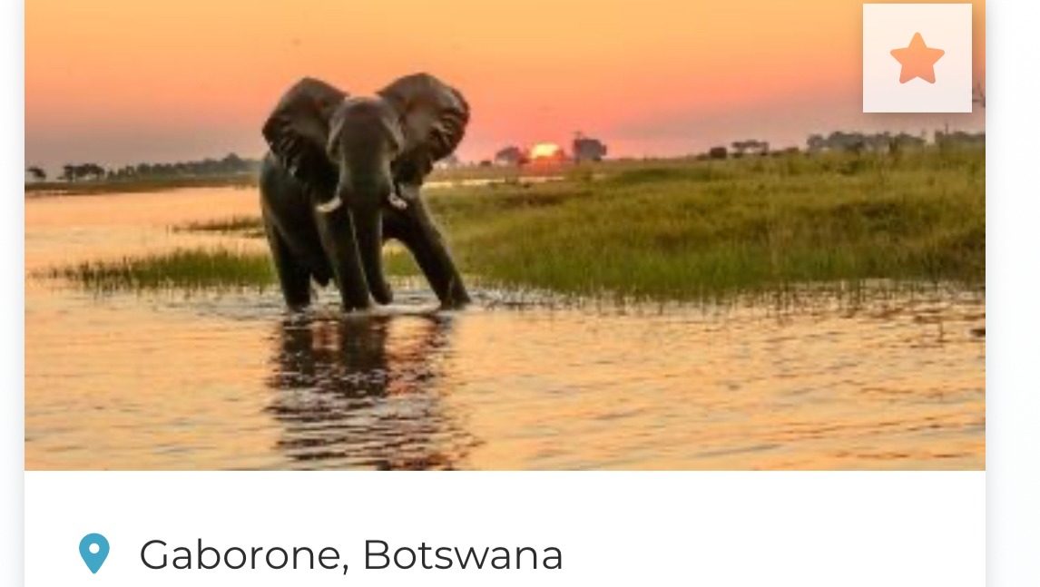 Fundraiser for Emma Kirwan by Emma Kirwan : Study Abroad: Gaborone, Botswana Summer 2024