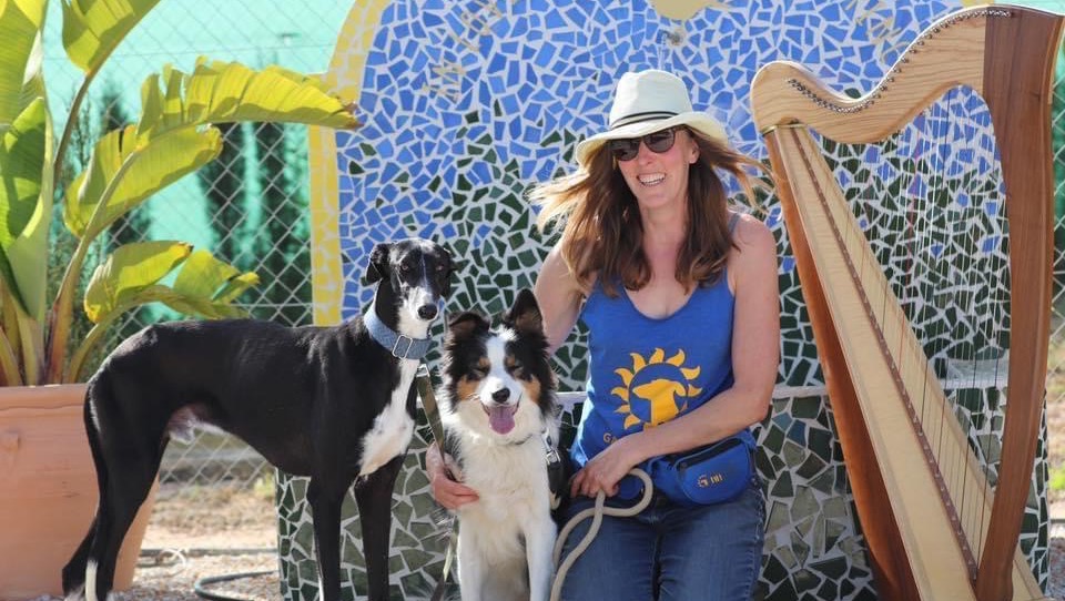 Fundraiser for Katy Salvidge by Rob Salvidge : Help Musician Katy ...