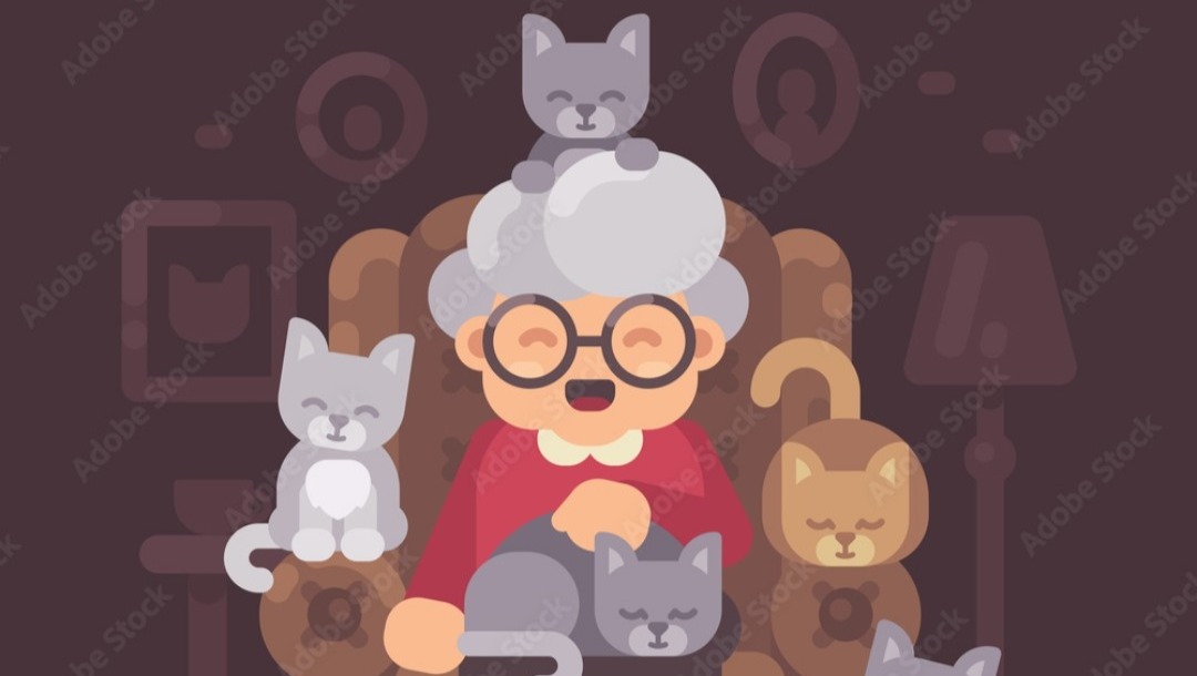 Fundraiser for Diane Butler by Angela Rader : Help Diane and her cats