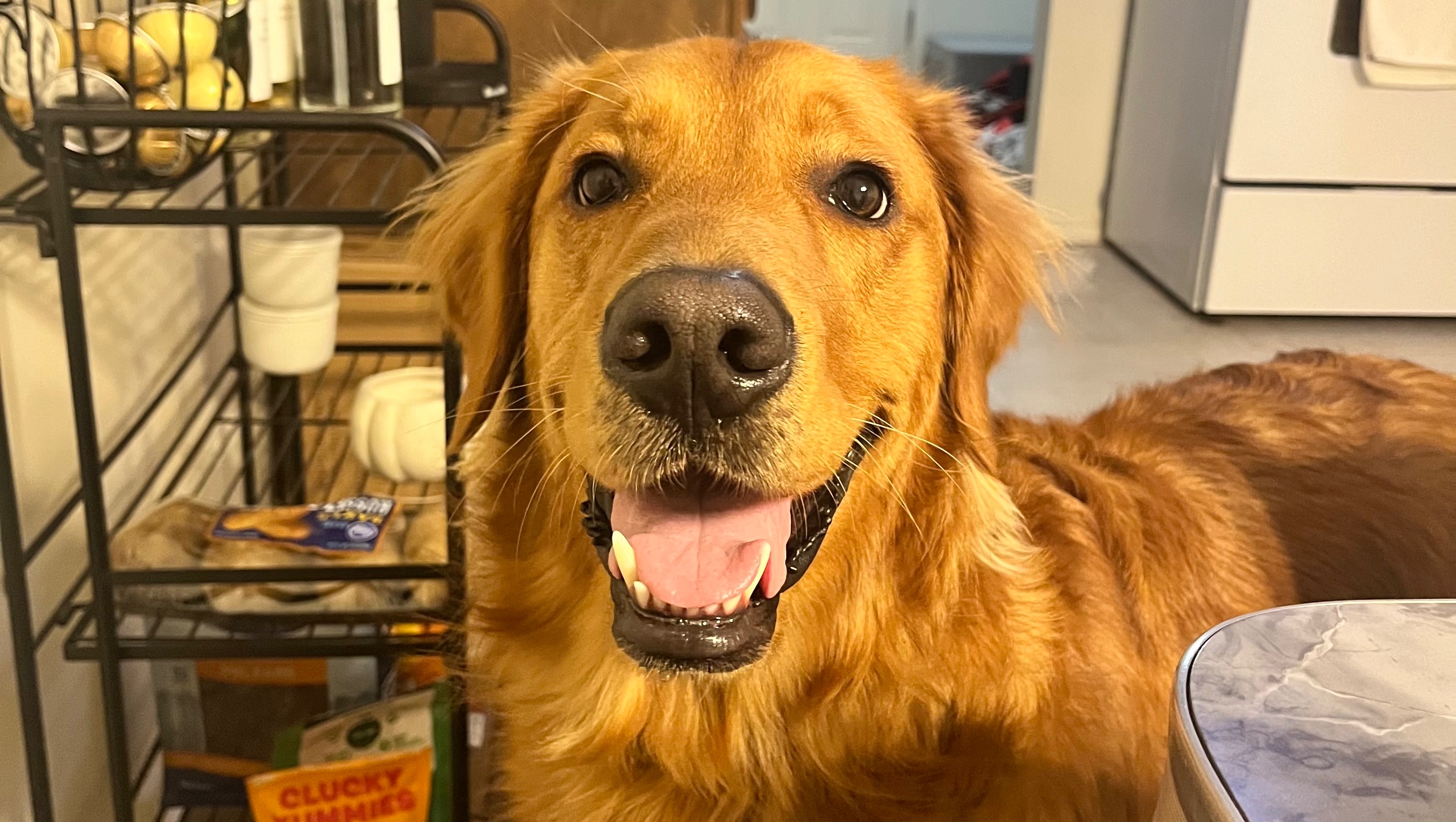 Fundraiser for Joshua Childers by Ashleigh Childers : Blake Childers ...