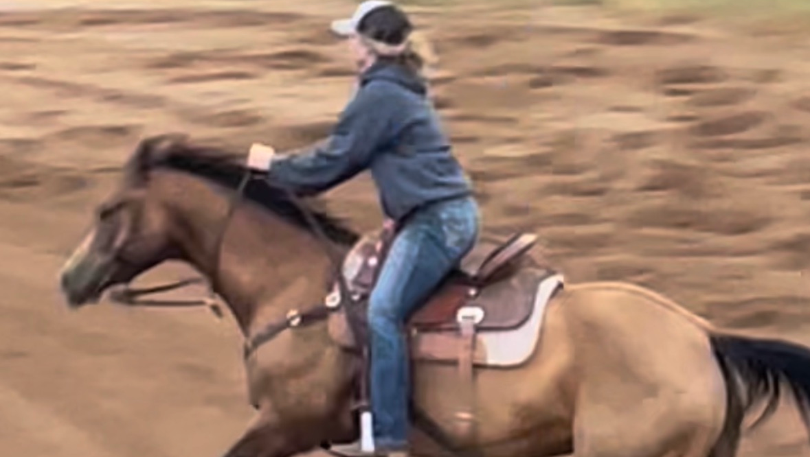 Fundraiser by Virginia Hartjes : Maddi and Hailey get to Georgia