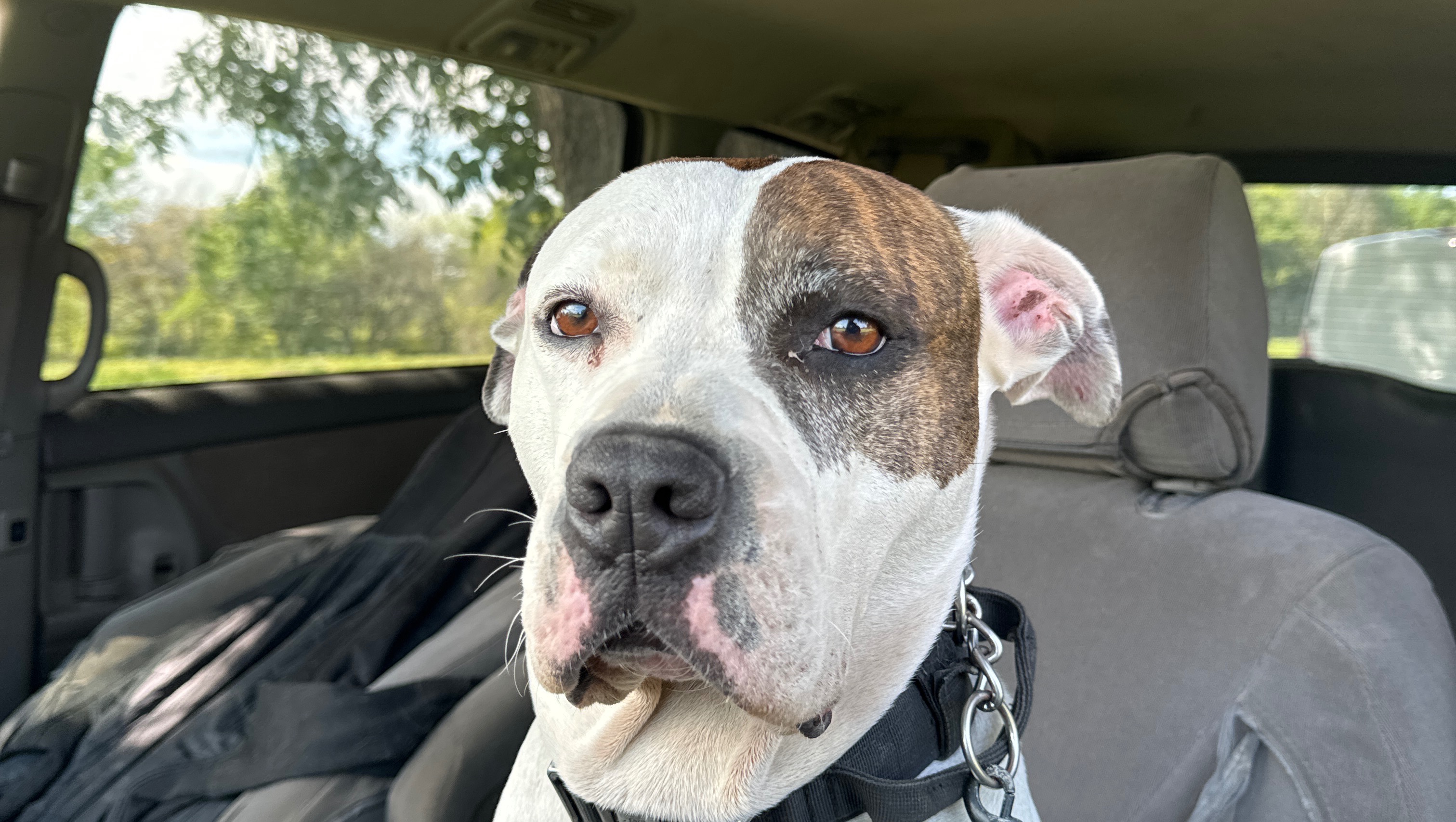 Fundraiser by Ivan Garcia Luis : Hematoma Surgery