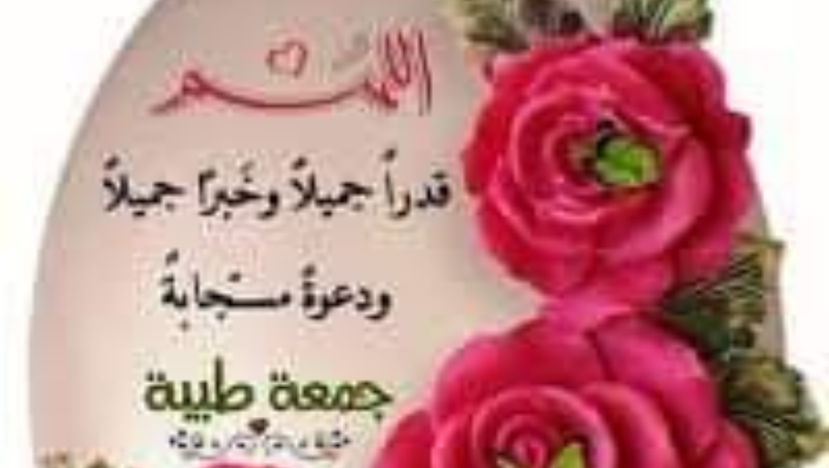 Fundraiser by Reem Ashour : Helping my family in Gaza