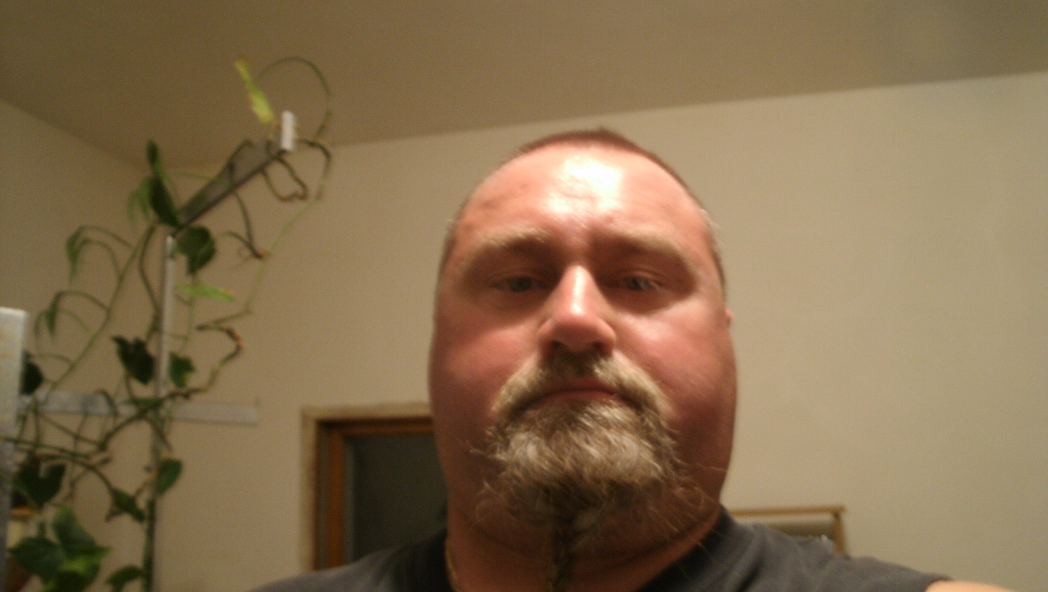 Fundraiser by Robert Wargo : Bob's medical help