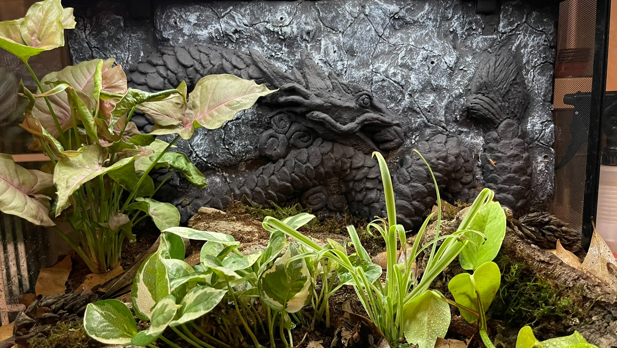 Fundraiser by Gavin Gump : Small Business Start Up Costs