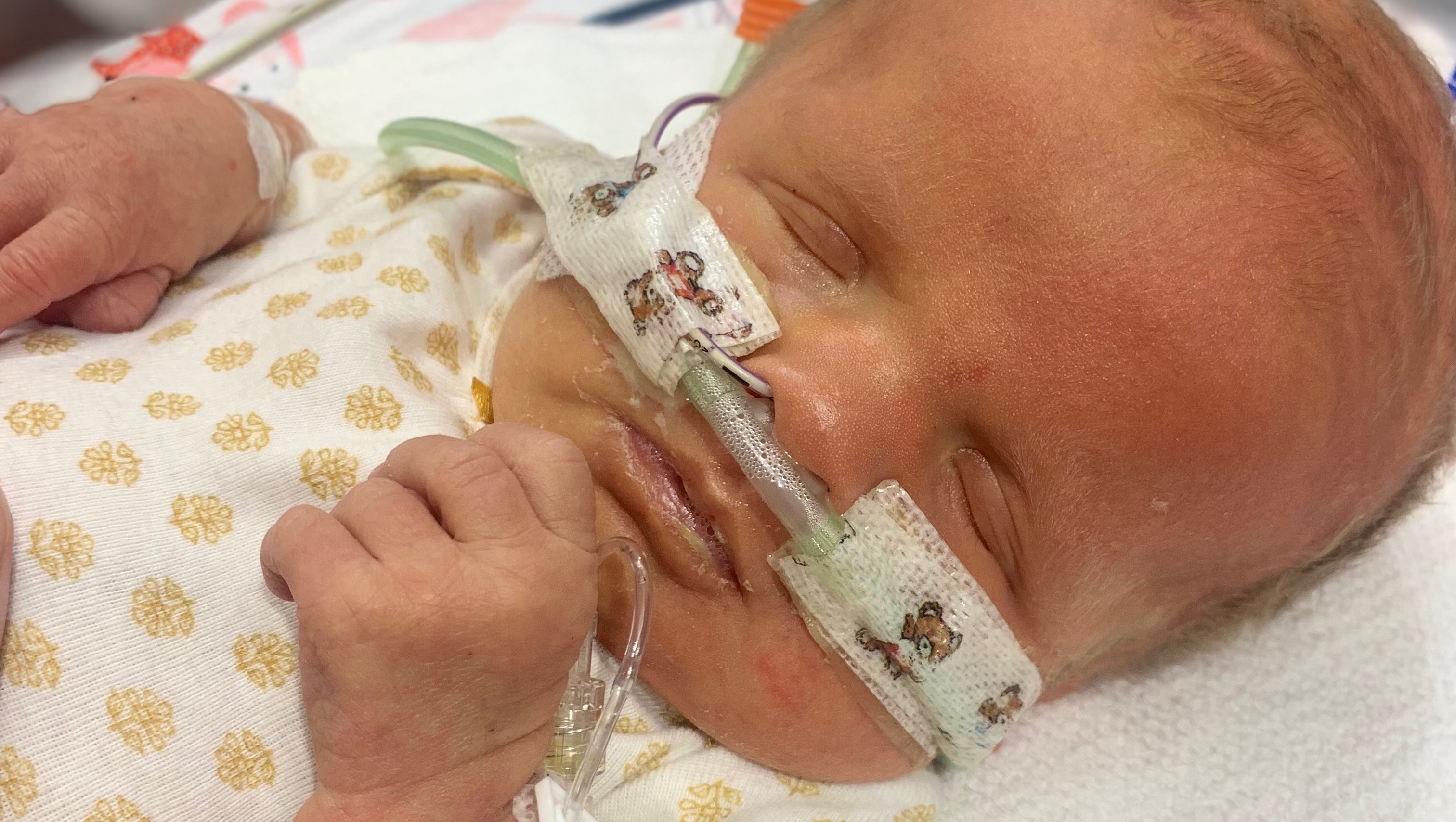 Fundraiser for Makayla Wilson by Jinny Brock Brinson : Baby Roselynn’s ...