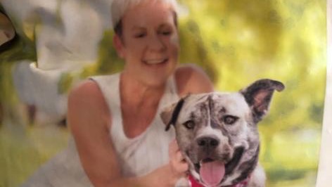 Fundraiser by Terri Yates : Sue Steppat