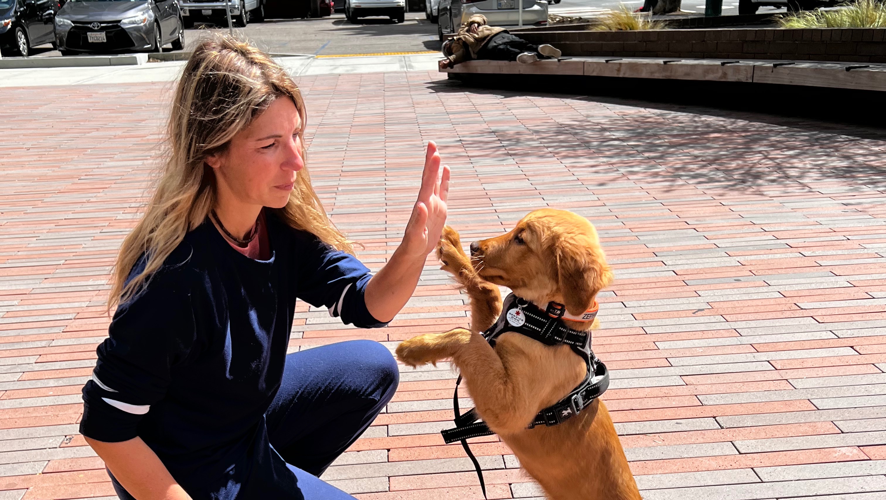 Fundraiser for Dona Tella by Stacie Zuzek : Dona has lost everything in ...