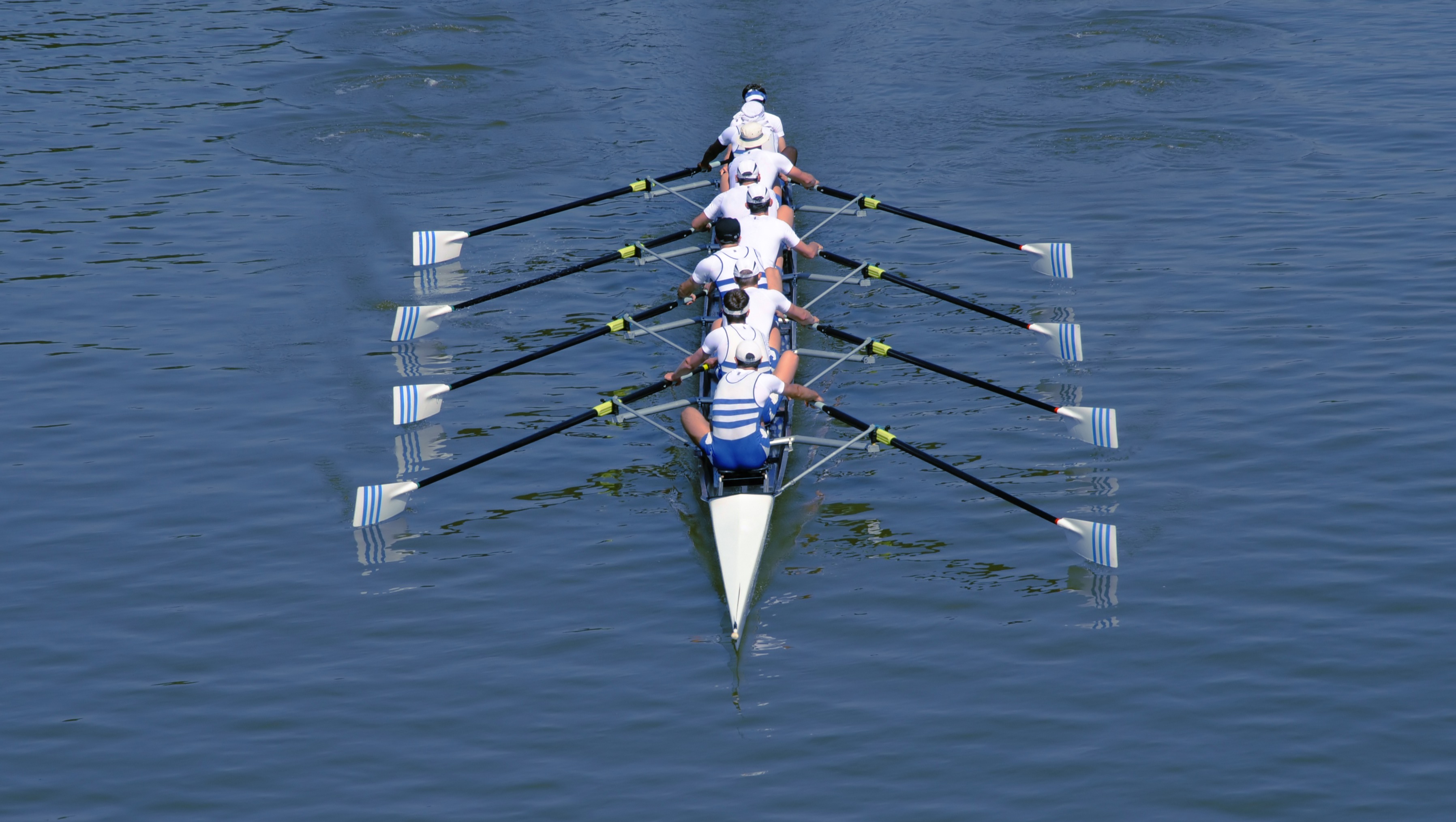 Fundraiser for Steve Bogner by Adam O'Donnell : Help me save the ...