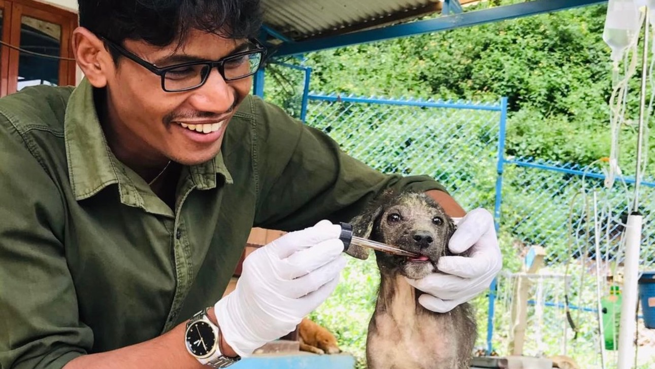 Fundraiser by Rachel Puri : TFC Nepal Animal Rescue Non Profit Organization