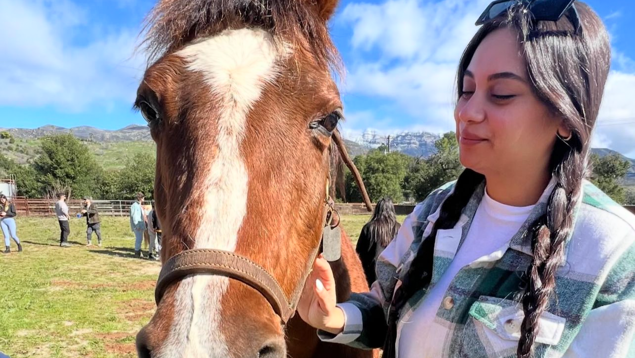 Fundraiser by Avishag Israel : October 7th Nova Festival Survivor