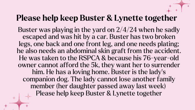 Fundraiser by Erin Louise : Help keep Buster & Lynette together