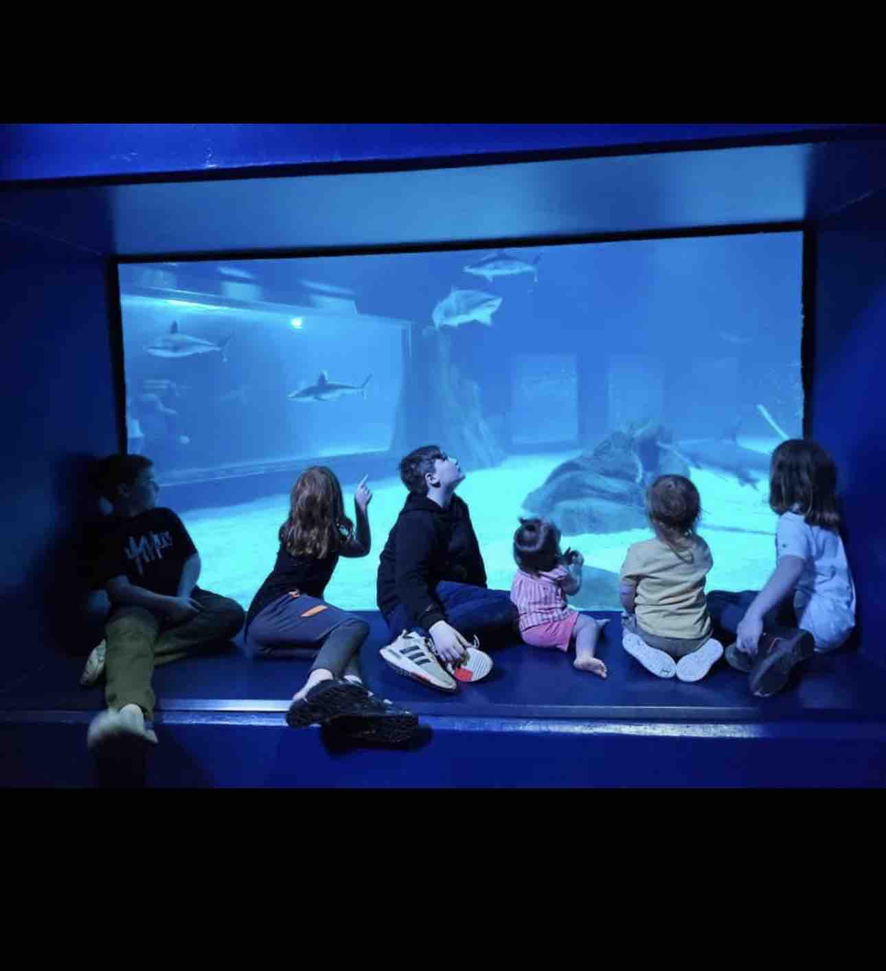 Fundraiser for Jennifer Hodgkinson by Megan Kennington : Supporting ...